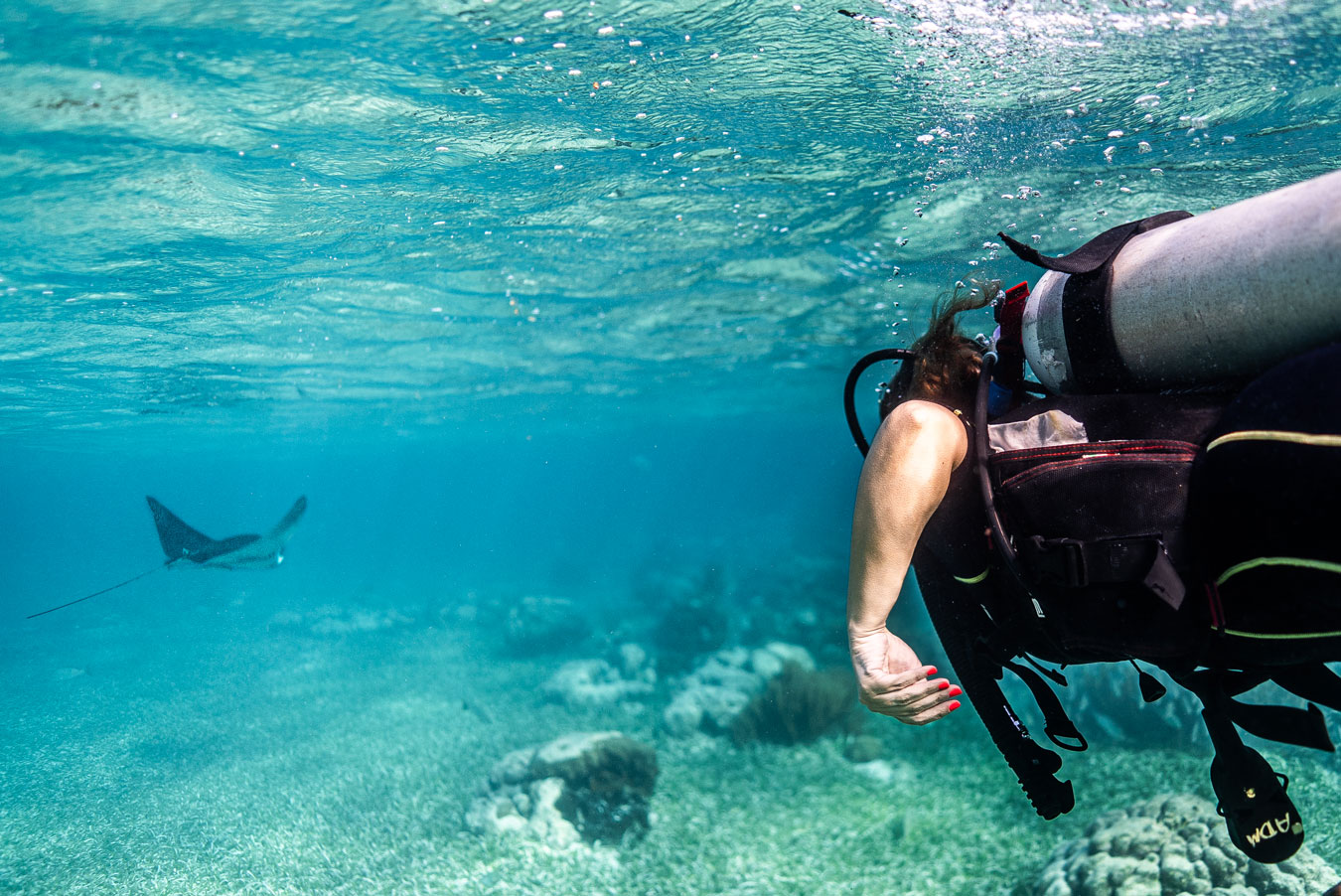 Visit a Family Friendly Resort at Azul Beach Resorts | Prestige Travelers